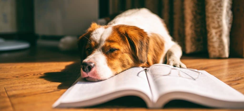 VCE text comparison – Insight Publications